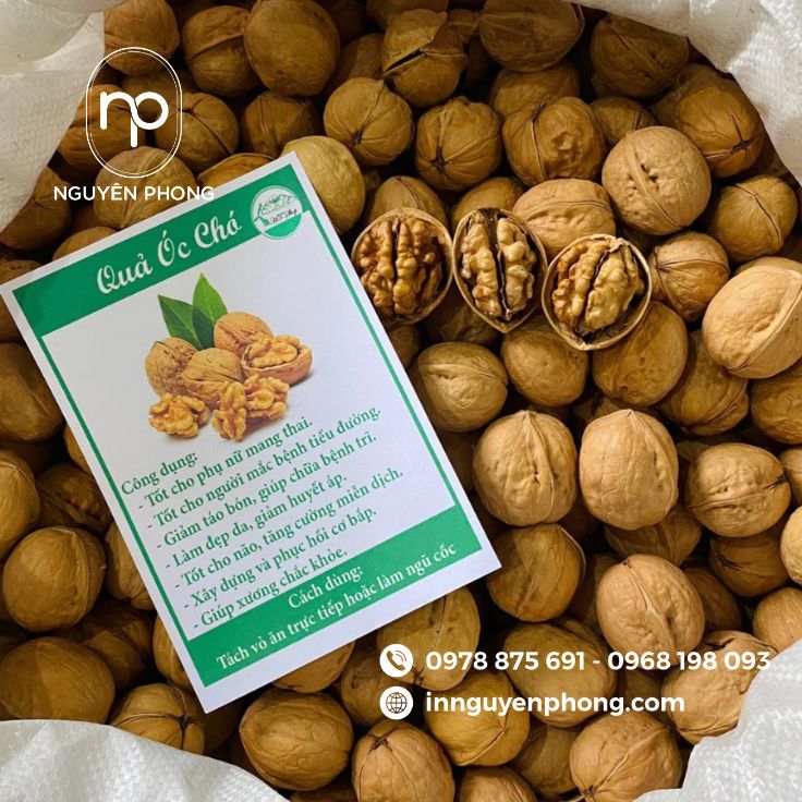 In tem hạt óc chó đẹp, chuyên nghiệp, giá rẻ