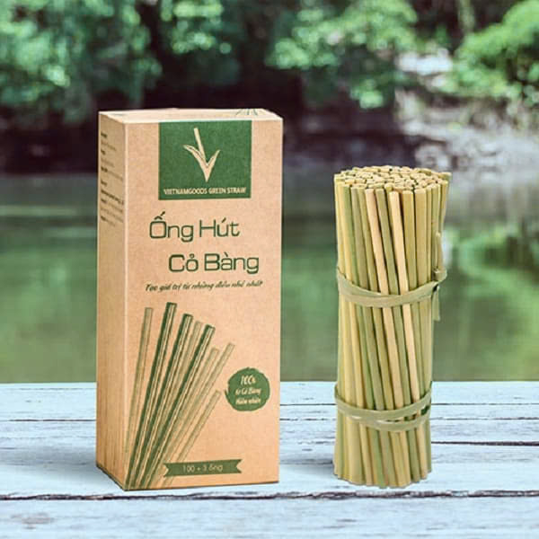 Hộp giấy đựng ống hút - “Người kể chuyện” cho thương hiệu của bạn