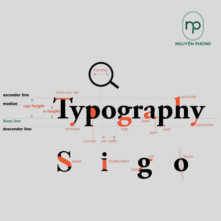 Typo Là Gì? Hiểu Đúng Về Lỗi Gõ Phím Thường Gặp