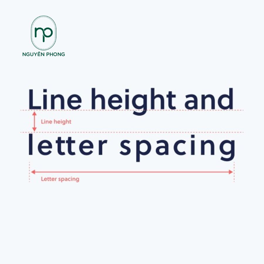 Typo Là Gì? Hiểu Đúng Về Lỗi Gõ Phím Thường Gặp