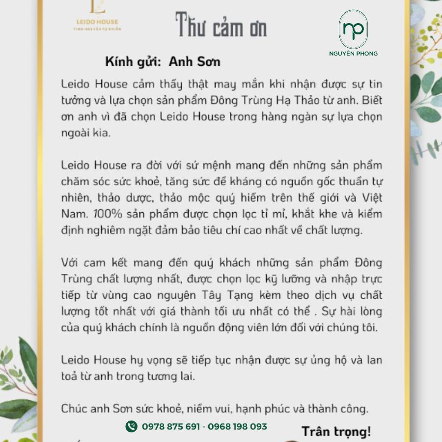 Mẫu Thư Cảm Ơn Đơn Giản, Ý Nghĩa và Chuyên Nghiệp