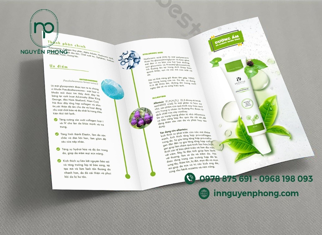 Leaflet là gì? Lợi ích và dịch vụ in leaflet quảng cáo giá tốt