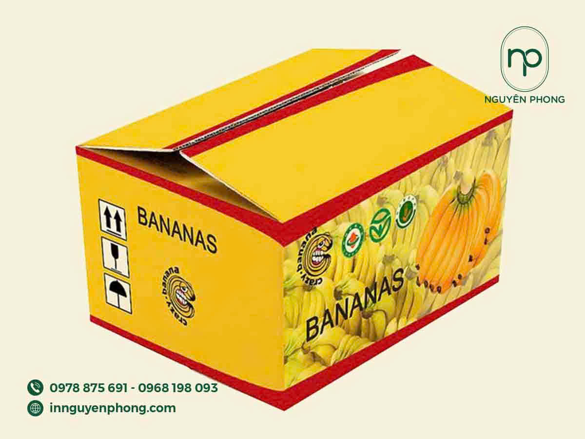Thiết Kế Thùng Carton Đẹp - Độc - Tiết Kiệm Cho Doanh Nghiệp